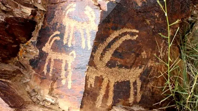 3,000-year-old art rocks in northeast to be registered